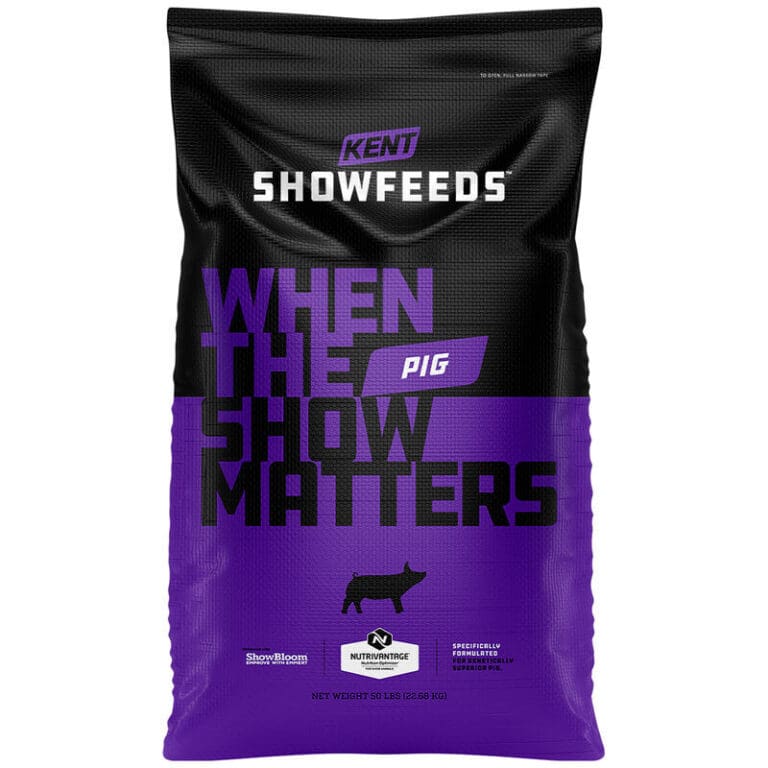 Show Pig | Kent Feeds - Blue Seal
